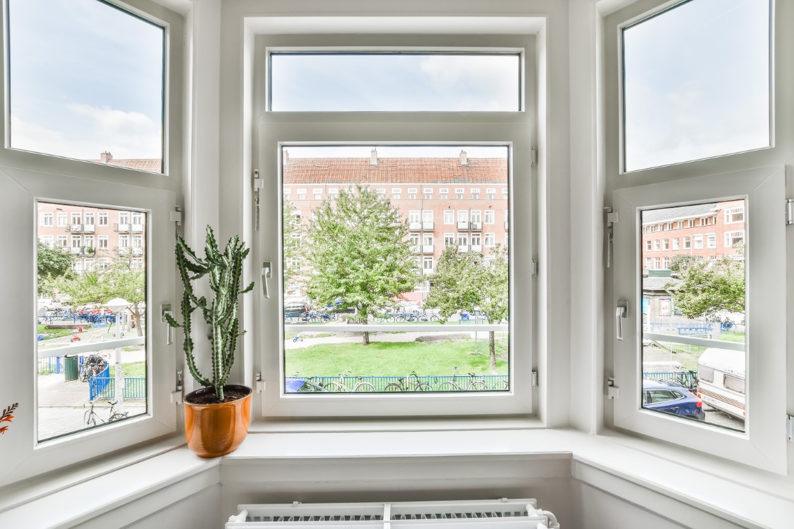 The Sunny Side of Bay Windows: The Ultimate Home Upgrade